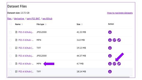 What Can I Do With Sparc