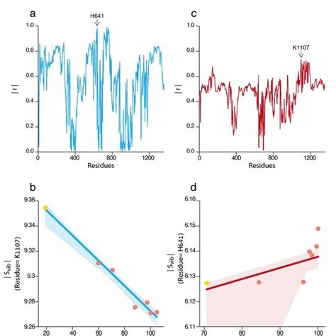 Vibrational Entropy Values Correlate With Empirical Activity And
