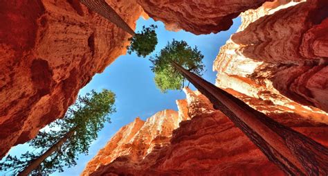 Най красивите кътчета на планетата Земя Profit Bg