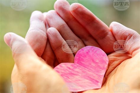 Национална електронна информационна система за пълно осиновяване ще бъде изградена по Програма