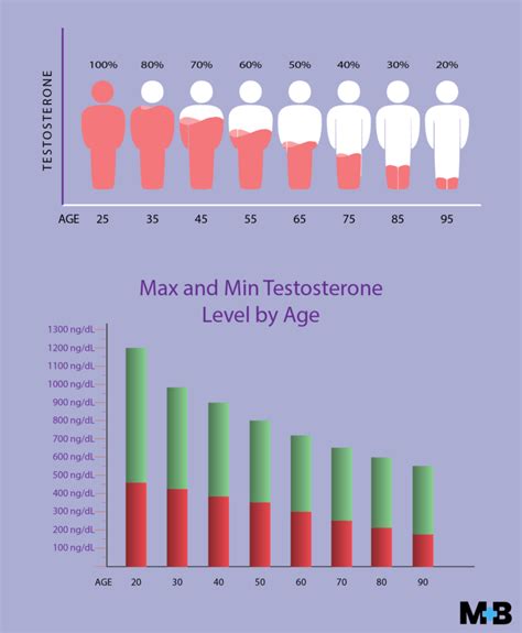 12 Testosterone Level Statistics Graphs And Figures
