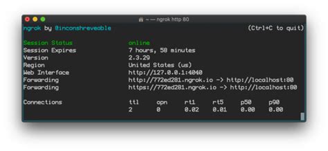 An Ngrok Tutorial And Primer