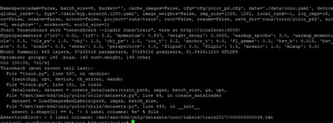AssertionError Label Columns Issue WongKinYiu Yolor GitHub