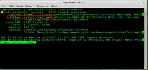 task complete but still processing result not showing · issue 999