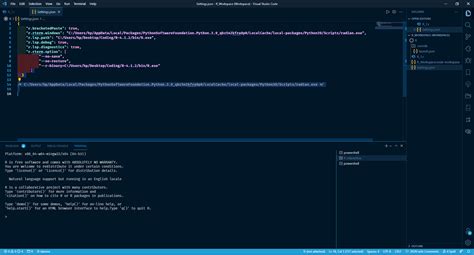 Setting Up R With Radian In Vs Cod Rvscode