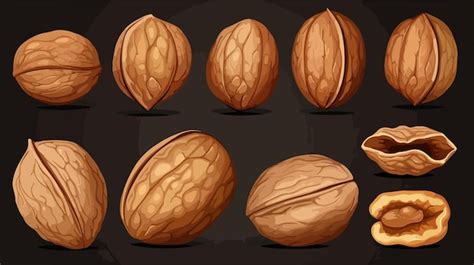 Set Of Walnut Kernels On Black Background Premium AI Generated Vector