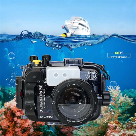 Seafrogs Underwater Housing For Sony A6000 A6300 A6500 Sanghinga