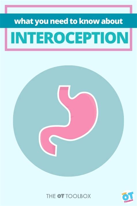 What You Need To Know About Interoception The Ot Toolbox What You Need To Know About Interoception The Ot Toolbox