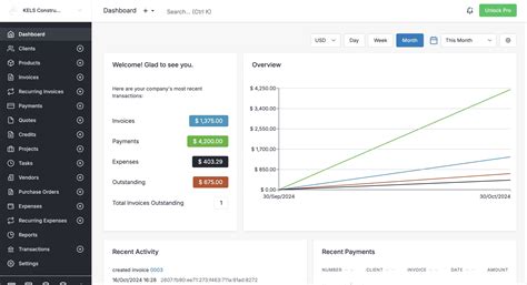 Invoice Ninja Review Merchant Maverick
