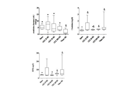 Renal Function Parameters In Various Experimental Groups Values Are Download Scientific