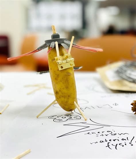 Playing With Real World Labs