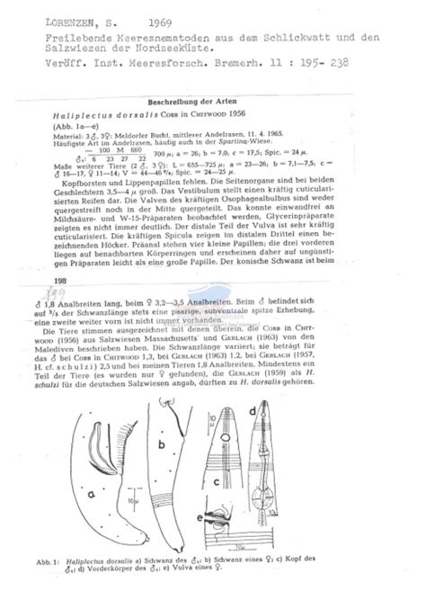 World Echinoidea Database