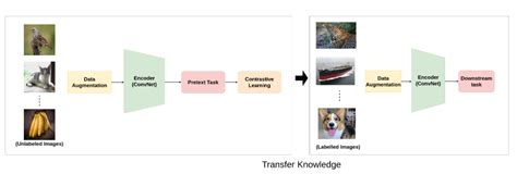 How To Reduce Training Data With Self Supervised Learning