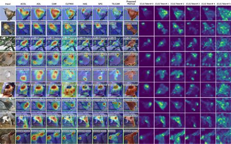 Figure S3 Examples Of Visual Results On The Cub 200 2011 Dataset Download Scientific Diagram