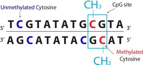 Figure 1 From A Deep Autoencoder System For Differentiation Of Cancer Types Based On Dna