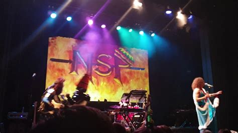 Ninja Sex Party Sydney Australia 2019 Bloopy Reggae Jams Youtube