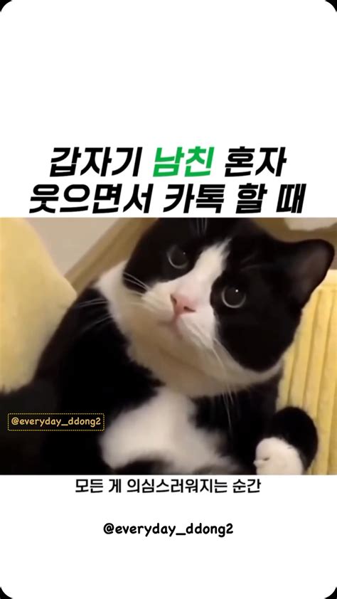 강아지똥이의 공간 이날만 기다렸다 🎉 연애 공감 여자친구 커플 귀여움 남자친구 Instagram