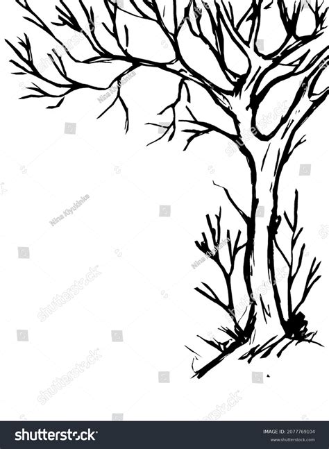 Black Outline Tree Without Leaves On Stock Illustration 2077769104 Shutterstock