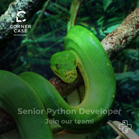 Corner Case Technologies On Linkedin Cct