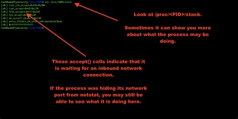 How To Basic Linux Malware Process Forensics For Incident Responders Apnic Blog