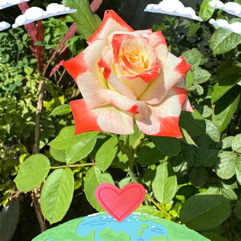 ධනාත්මක චින්තනය සහ විශ්ව ශක්තිය