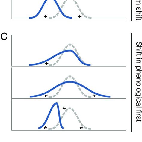 Conceptual Representation Of Shifts In Multiple Phenological Measures