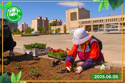 ДАРХАН ХОТЫН СОЁЛ ДАРХАН ХОТЫН СОЁЛ АМРАЛТЫН ХҮРЭЭЛЭН