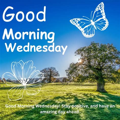 Good Morning Wednesday Status Wishes And Image Wishbyt