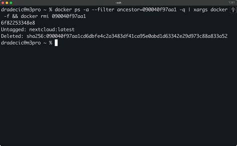Docker Remove Image Como Excluir Imagens Pendentes E Não Utilizadas