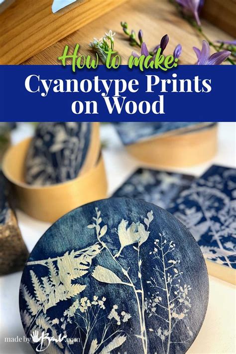 45 Cyanotype Ideas In 2025 Cyanotype Cyanotype Process Sun Prints