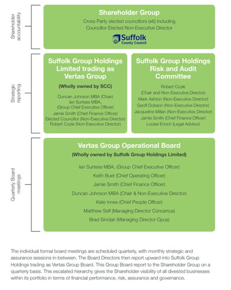Governance Hierarchy Pure Executive