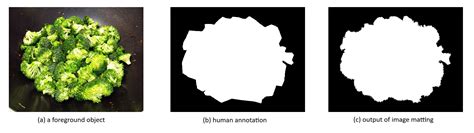 Semantic Contextualization Of Face Forgery A New Definition Dataset
