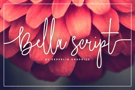 free bella script font on behance