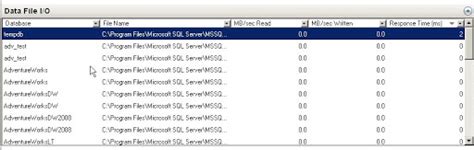 Activity Monitor Sql Server Lets Sql