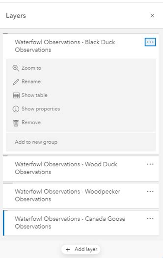 Get Your Ducks In A Row With Group Layers GEO Jobe
