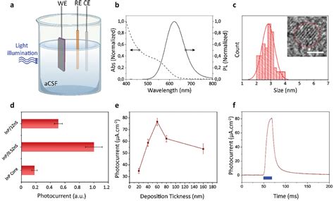 A Retina‐inspired Optoelectronic Synapse Using Quantum Dots For