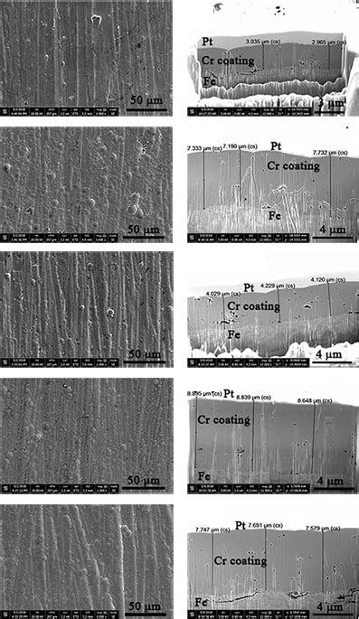 Sem Micrographs Of The Surface Morphologies And The Cross Sectional