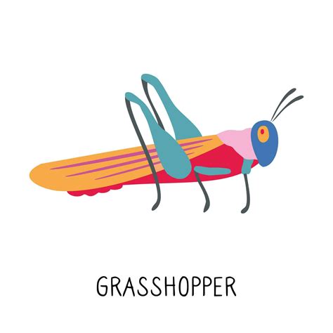 Flat Grasshopper Icon Vector Character Grasshopper In Unusual Colors