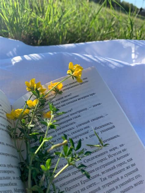 Книги Эстетика