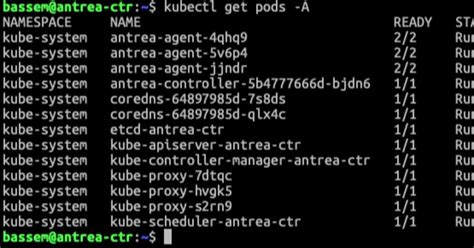 Setup Kubernetes Clusters Using Vmware Antrea Cni And Nsx 32x As