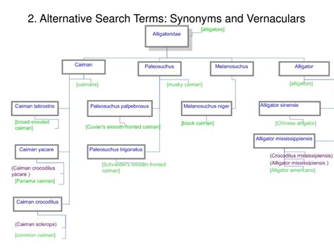 Ppt Requirements Of A Taxonomy Database Tcl Db A Prototype Powerpoint