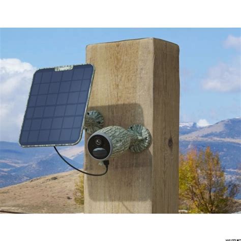 Reolink Go Plus 4mp 4g Camouflage Sim Game Cameras English