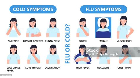 감기 및 독감 증상 플랫 스타일의 정보 그래픽 벡터 감기 인플루엔자 증상이 표시됩니다 발열 두통 기침의 아이콘이 표시됩니다 그림 고통스러운 상태 부비동염 0명에 대한 스톡