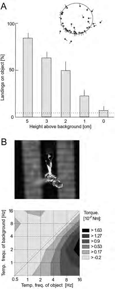 1 object detection a bees are able to use motion parallax cues to
