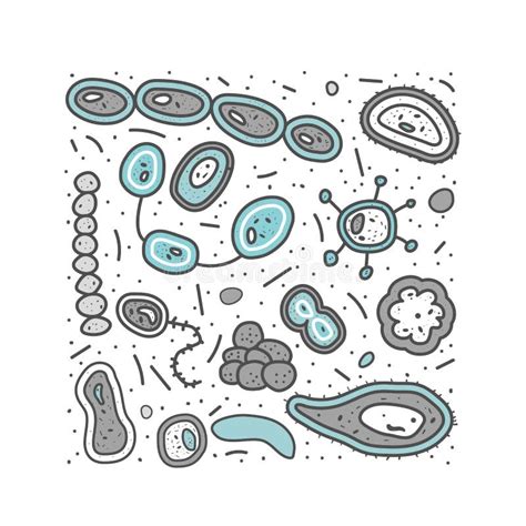 Cyanobacteria Vector Illustration Labeled Bacteria Internal Structure Scheme Stock Vector