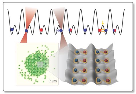 Research Assiciate Lithium Quantum Microscope For Fermionic Quantum Simulations Eqop