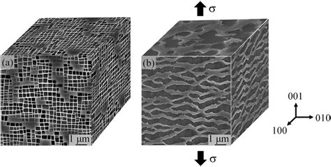 3d presentations of sem micrographs revealing the evolution of the
