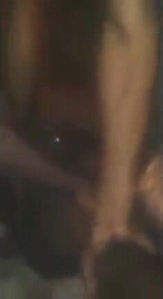 Being Used Thisvid Com