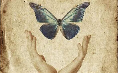 The True Personality Quiz Are You An Introvert Extrovert Or Ambivert Quiz Quotev