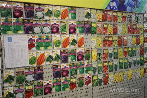 “СОЁОЛЖ” КОМПАНИ 6 Р САРД МОД ҮРЖҮҮЛГИЙН ТАЛБАЙДАА НЭЭЛТТЭЙ ӨДӨРЛӨГ ЗОХИОН БАЙГУУЛНА